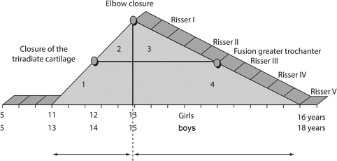 Normal Growth of the Spine and Thorax | SpringerLink