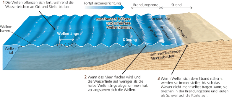 Das Meer | SpringerLink