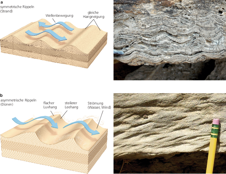 Sedimente und Sedimentgesteine | SpringerLink