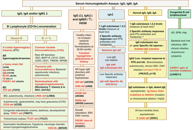 Introduction on Primary Immunodeficiency Diseases | SpringerLink