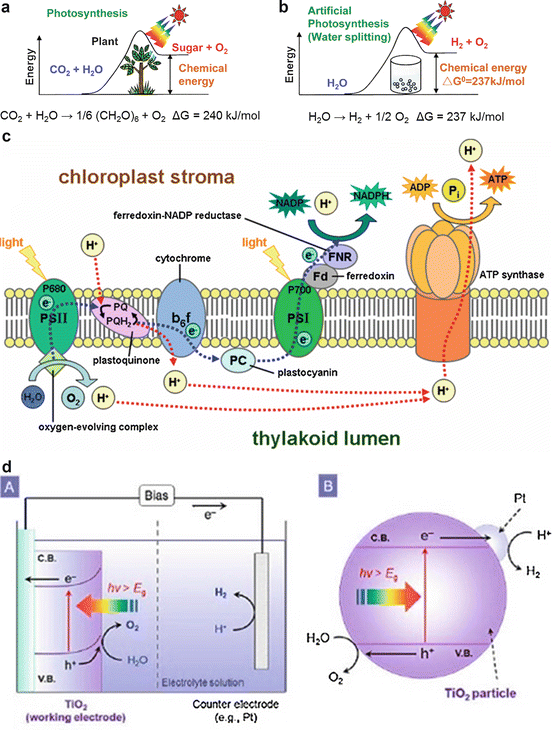 Photocatalytic Hydrogen Evolution | SpringerLink