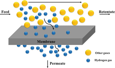 Hydrogen Separation Membranes of Polymeric Materials | SpringerLink