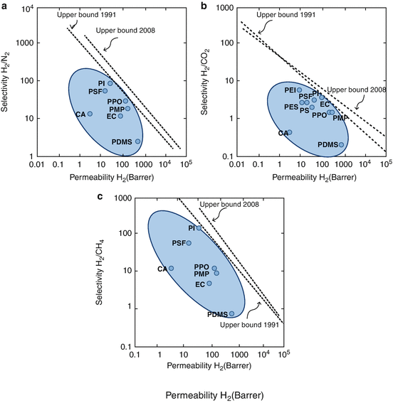 Hydrogen Separation Membranes of Polymeric Materials | SpringerLink
