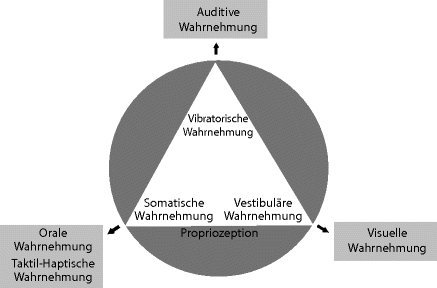 Basale Stimulation – Orientierung und Wahrnehmung | SpringerLink