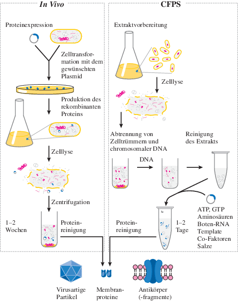 Die Bedeutung der Biotechnologie für die Bioökonomie | SpringerLink