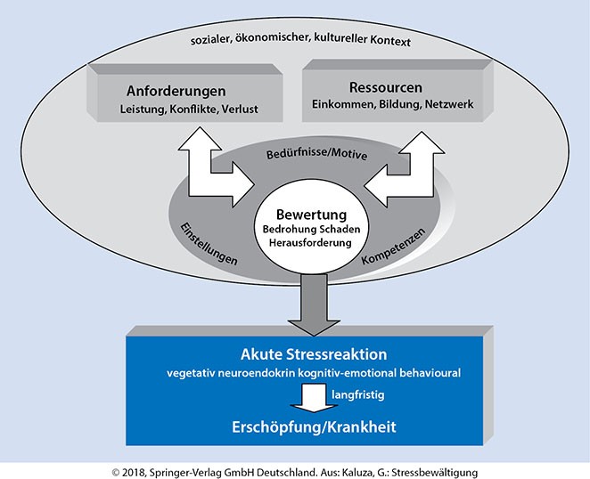 Stress – was ist das eigentlich? Wissenschaftliche Stresskonzepte ...