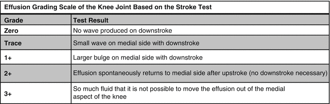 Return-to-Play Criteria: The Delaware Experience | SpringerLink