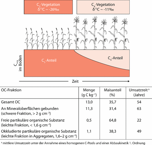 Organische Bodensubstanz | SpringerLink