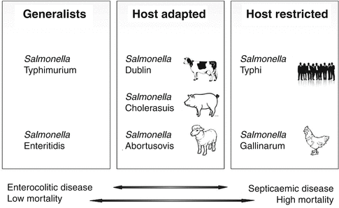 Non-typhoidal Salmonellosis | SpringerLink