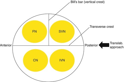 Internal Auditory Canal (IAC) | SpringerLink