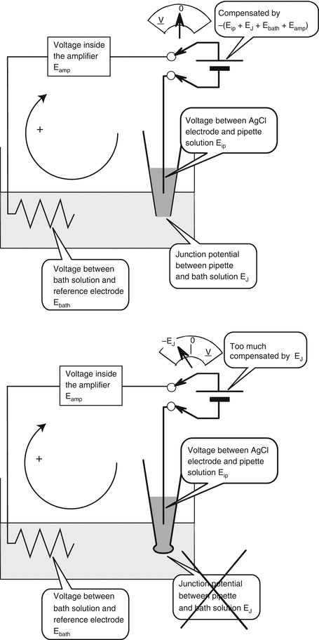 Solutions for Patch-Clamp Experiments | SpringerLink