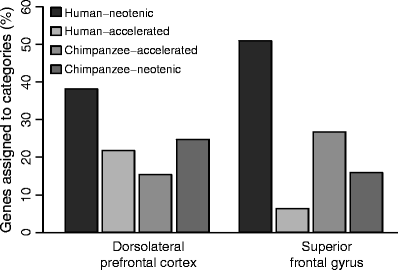 The Role of Neoteny in Human Evolution: From Genes to the Phenotype ...
