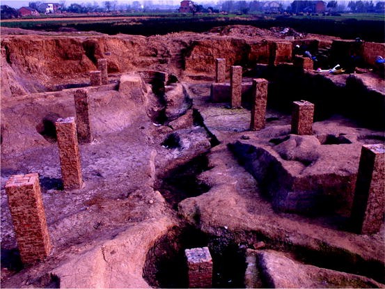 Discovery of the Yangtze River Civilization in China | SpringerLink