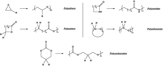 Cyclic Monomers: Epoxides, Lactide, Lactones, Lactams, Cyclic Silicon ...