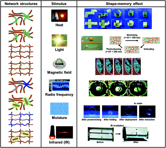 Shape-Memory Materials | SpringerLink