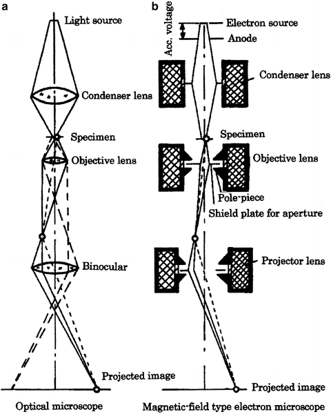 Introduction of the Electron Microscope | SpringerLink
