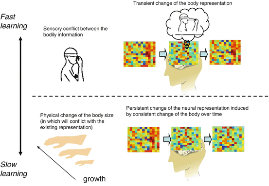 Body Representation and Neuroprosthetics | SpringerLink