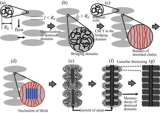 Dyneema®: Super Fiber Produced by the Gel Spinning of a Flexible ...