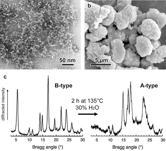 Crystalline Structure in Starch | SpringerLink