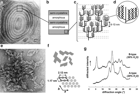 Crystalline Structure in Starch | SpringerLink