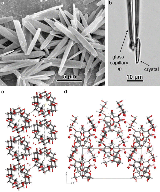 Crystalline Structure in Starch | SpringerLink
