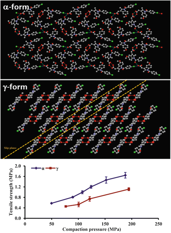 Polymorphism in Molecular Crystals and Cocrystals | SpringerLink