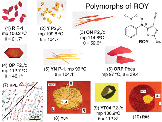 Polymorphism in Molecular Crystals and Cocrystals | SpringerLink