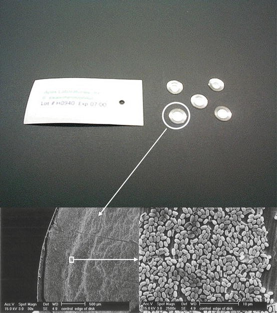Aseptic Manufacturing of Regenerative Medicine Products Using Isolator ...
