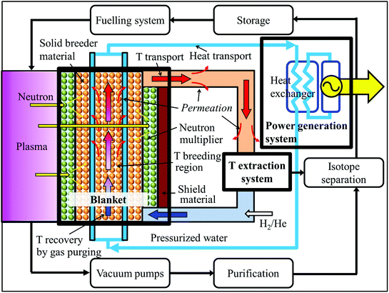 Recovery of Tritium Bred in Blanket | SpringerLink