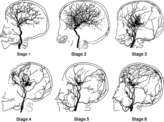 Overview | SpringerLink