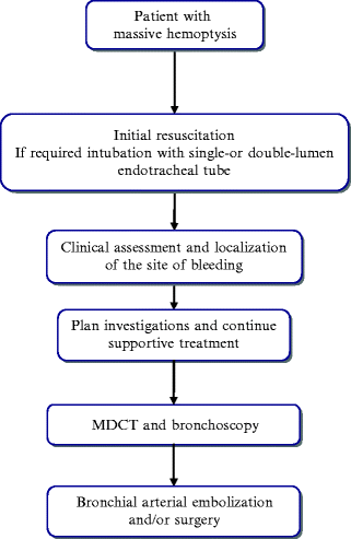 Massive Hemoptysis | SpringerLink