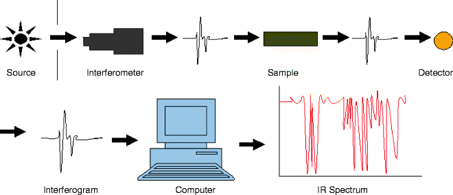 FTIR Spectroscopy: Herbal Drugs and Fingerprints | SpringerLink