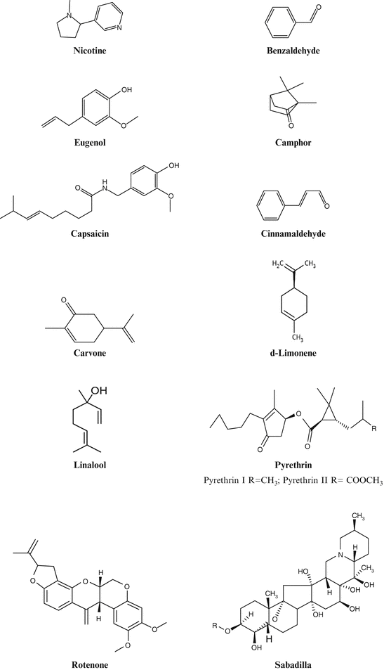 Mode of Action of Plant-Derived Natural Insecticides | SpringerLink