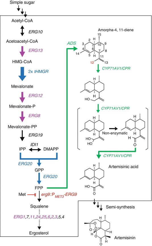Microbes in Production of Fine Chemicals (Antibiotics, Drugs, Vitamins ...
