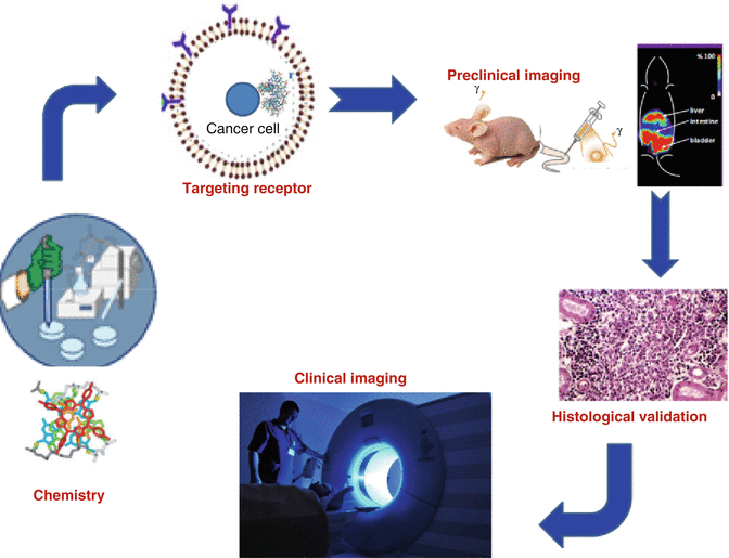 Introduction: Radiopharmaceuticals Play an Important Role in Both ...