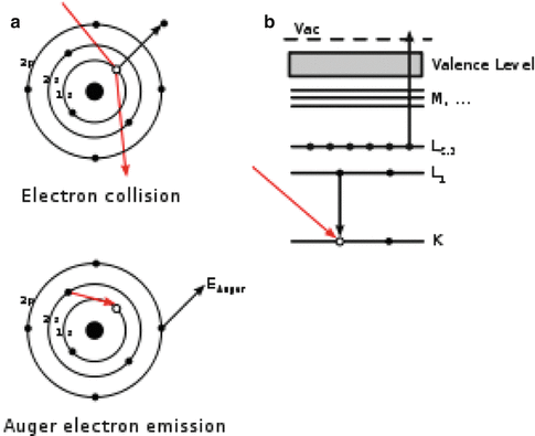 Auger Electron-Based Radionuclide Therapy | SpringerLink
