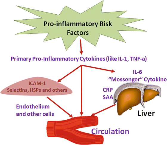 C-Reactive Protein: A Clinical Marker in Cardiovascular Disease ...