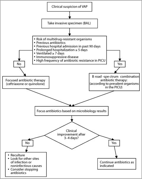 Diagnosis, Prevention, and Treatment of Ventilator-Associated Pneumonia ...