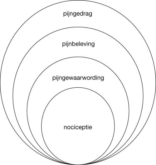 Medicamenteuze behandeling van pijn bij patiënten met kanker | SpringerLink