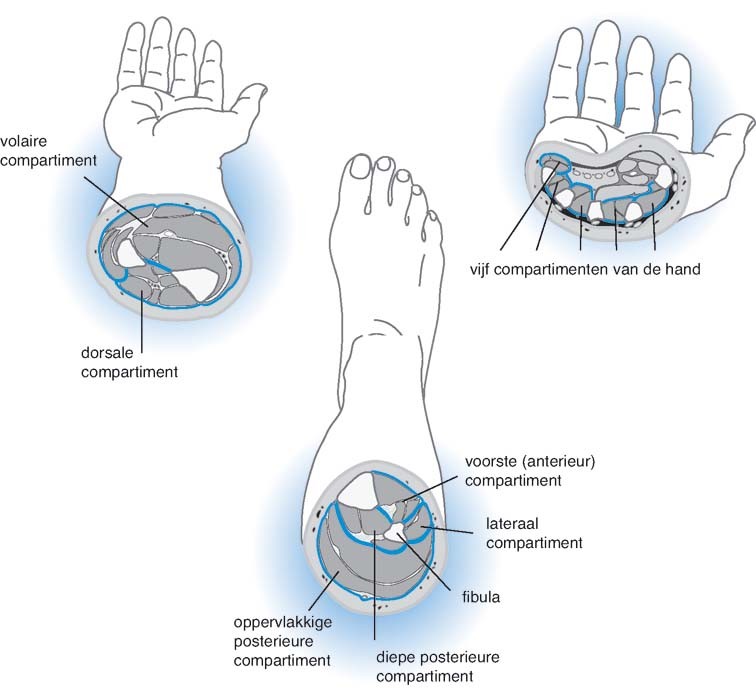 7 Het bepalen van de kwaliteit van de circulatie | SpringerLink