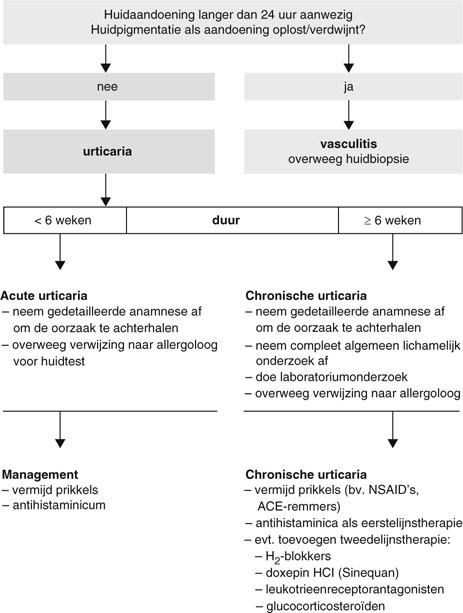 8 Urticaria en angio-oedeem | SpringerLink