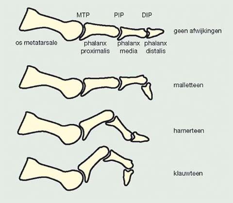 Inleiding | SpringerLink