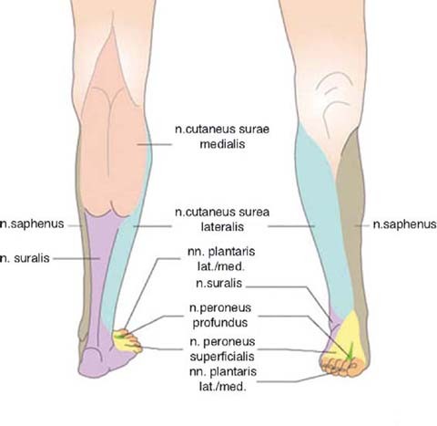 Bijlage VII | SpringerLink