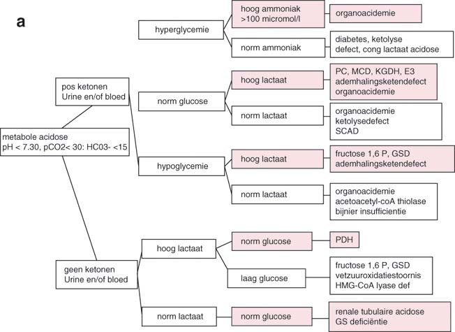 36 Metabole ziekten | SpringerLink