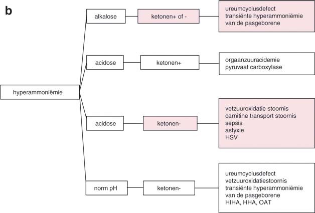 36 Metabole ziekten | SpringerLink