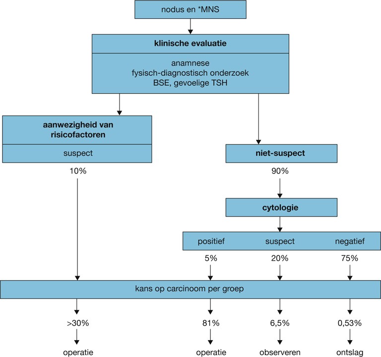 3 Endocrinologie | SpringerLink
