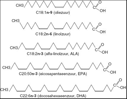 Vetten | SpringerLink