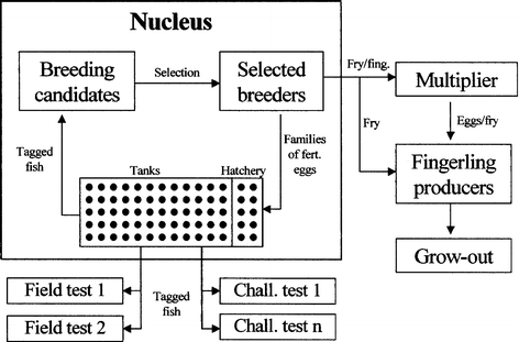Structure of Breeding Programs | SpringerLink