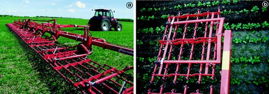 Mechanical Weed Control | SpringerLink