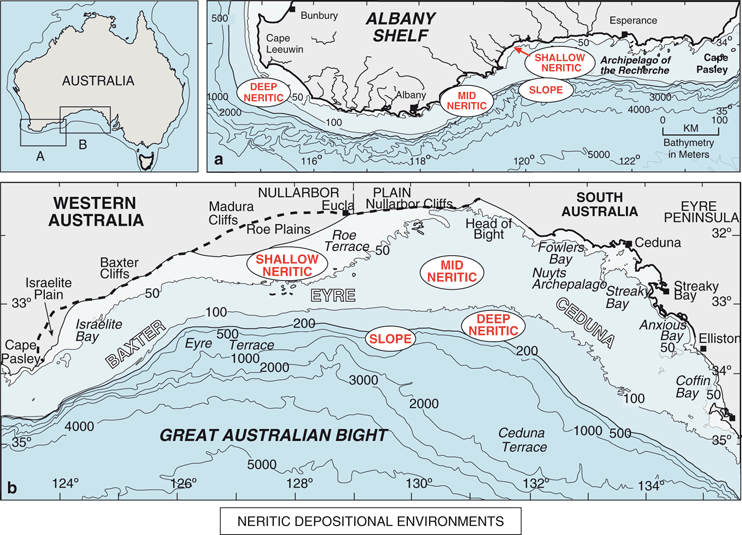 Neritic Depositional Environments | SpringerLink